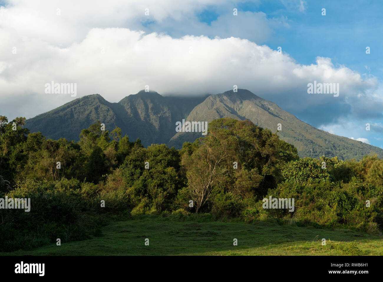 Virunga Volcanoes National Park