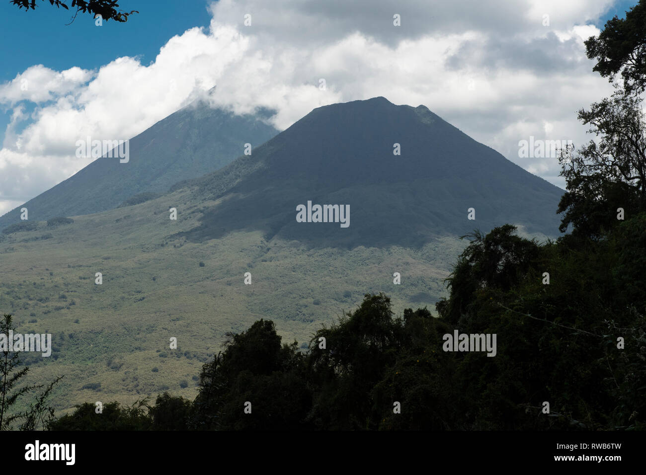 View of extinct volcanoes in the Virunga Mountains, Mount Gahinga and ...