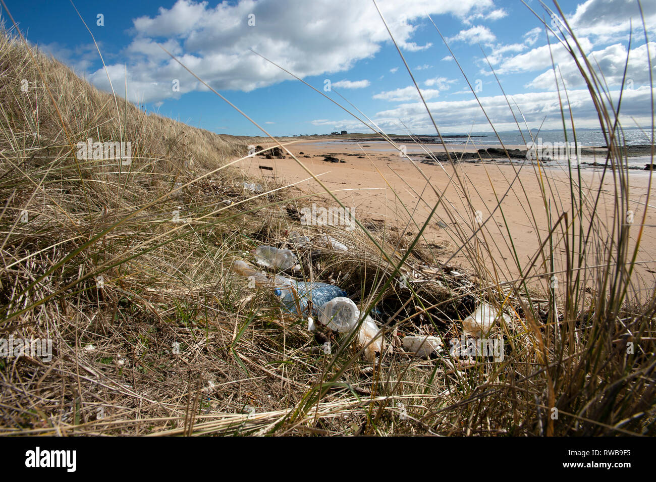 Plastic flotsam and debris washed up on the sandy beach of Shell Bay at ...