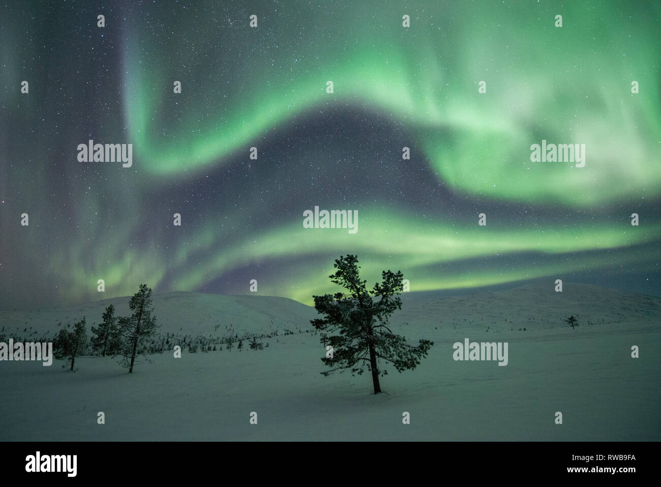 Northern lights seen in Muonio, Lapland, Finland Stock Photo - Alamy