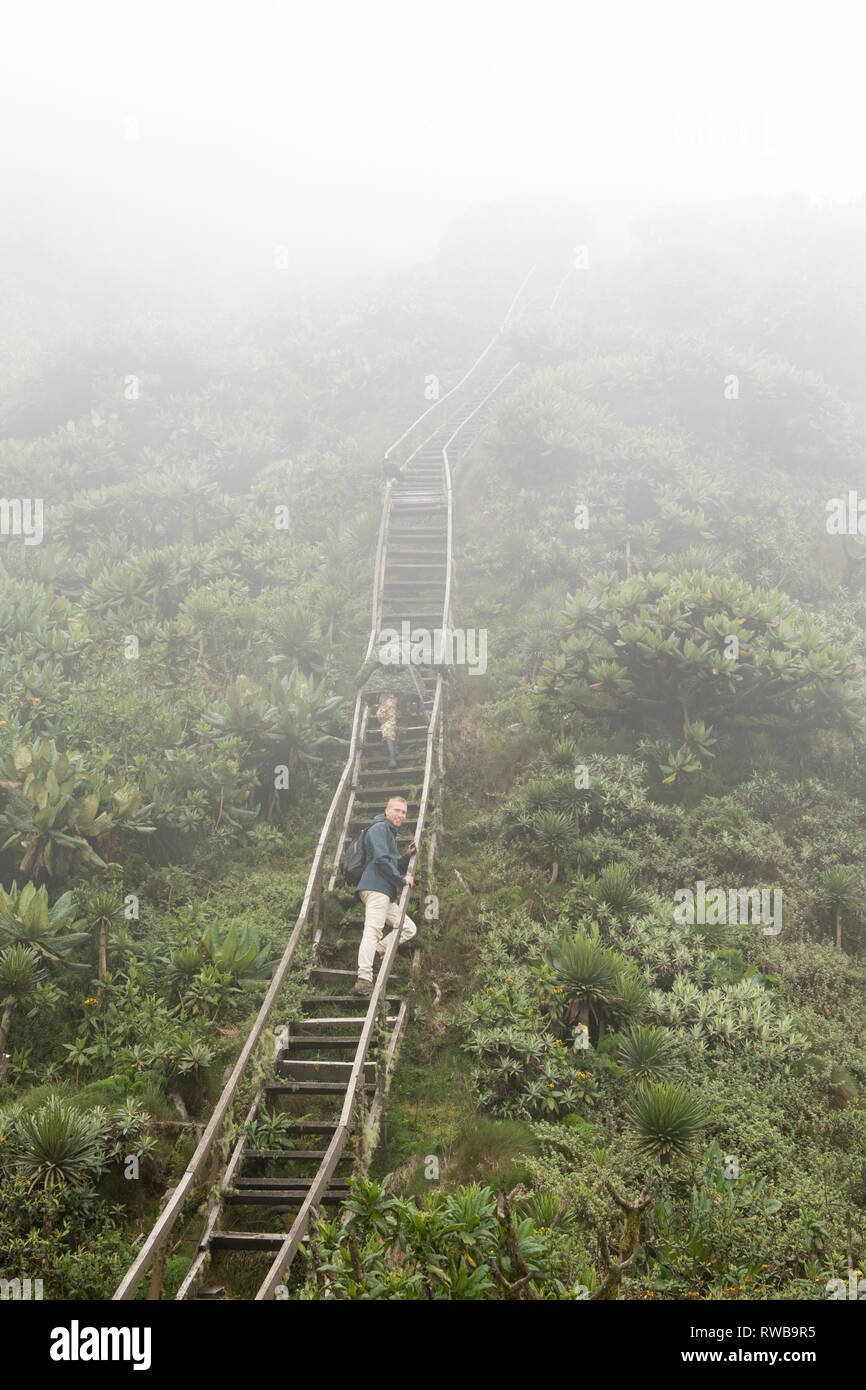 Tourist climbing Mount Sabyinyo, volcano in the Virunga Mountains ...