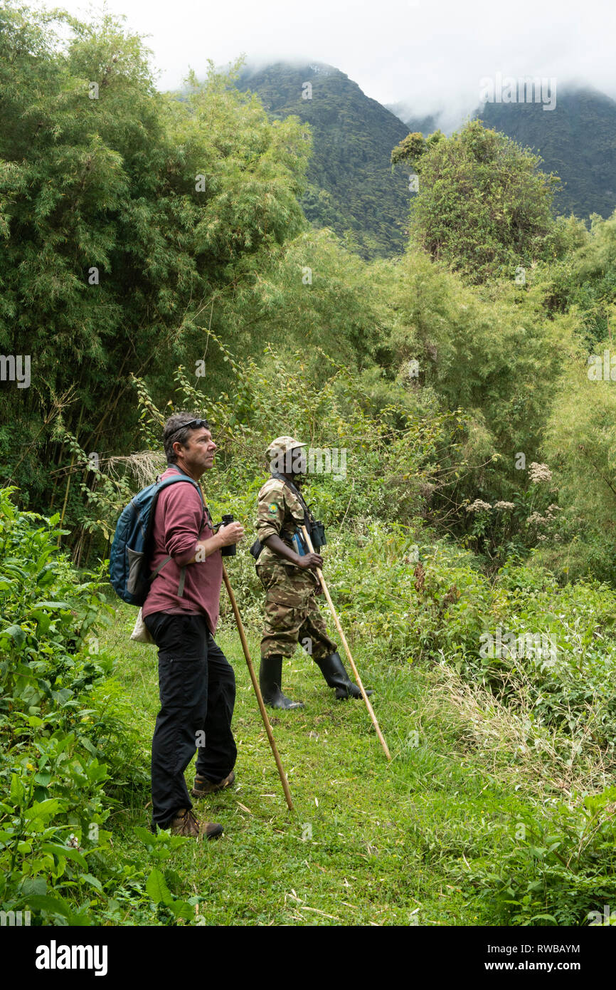 Birdwatcher in the Sabyinyo gorge on Sabyinyo volcano in the Virunga ...