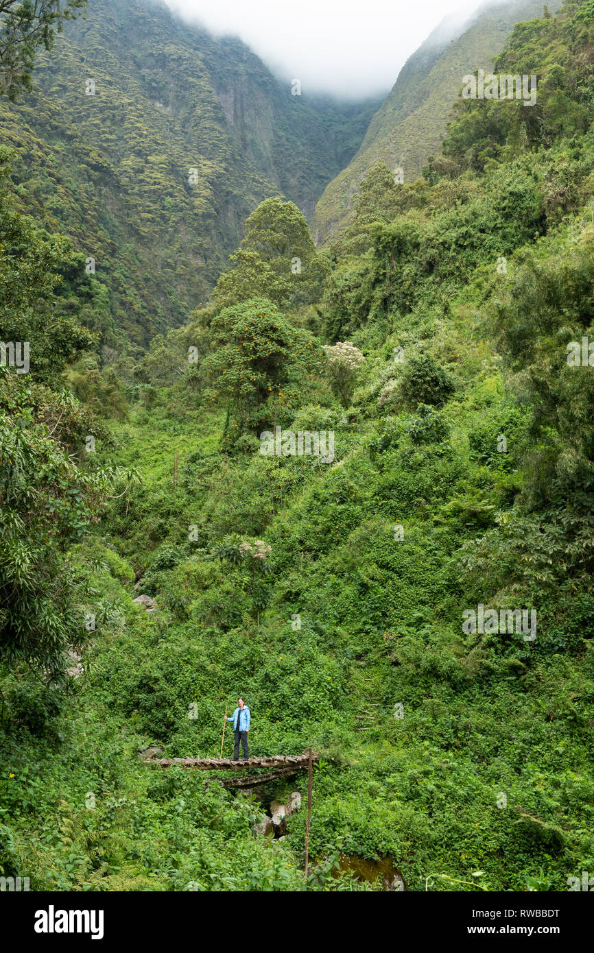 Tourist hiking in Sabyinyo gorge on Sabyinyo volcano in the Virunga ...