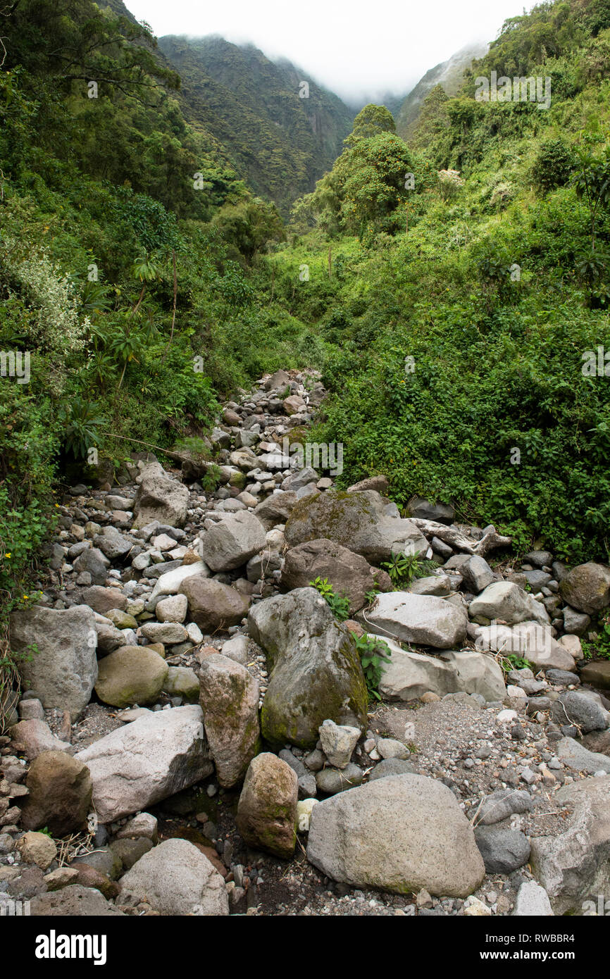 Sabyinyo gorge on Sabyinyo volcano in the Virunga Mountains, Mgahinga ...