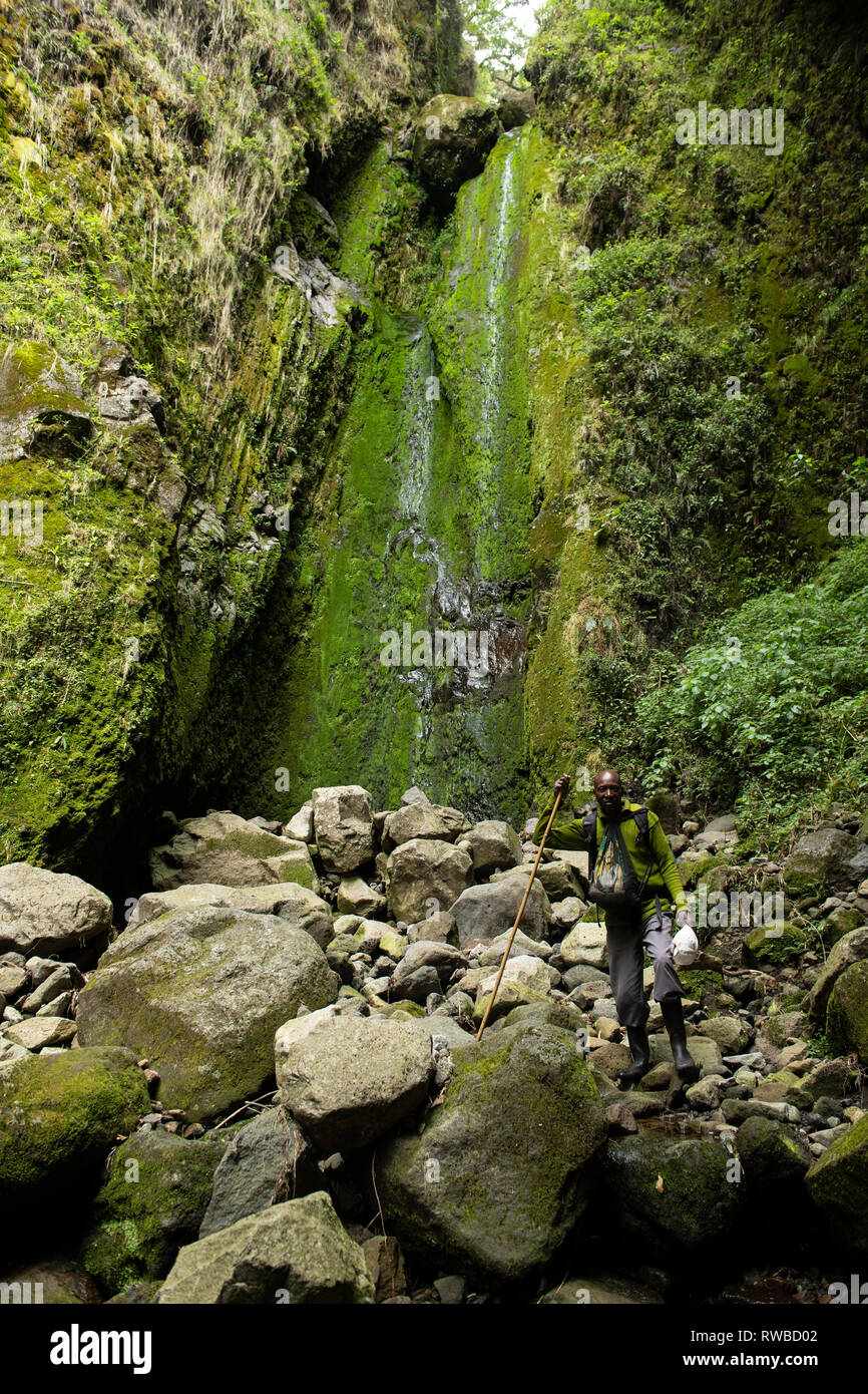 Sabyinyo gorge on Sabyinyo volcano in the Virunga Mountains, Mgahinga ...