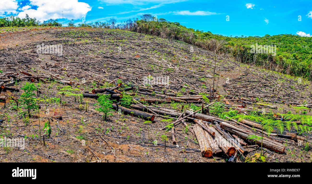 Deforestation brazil hi-res stock photography and images - Alamy