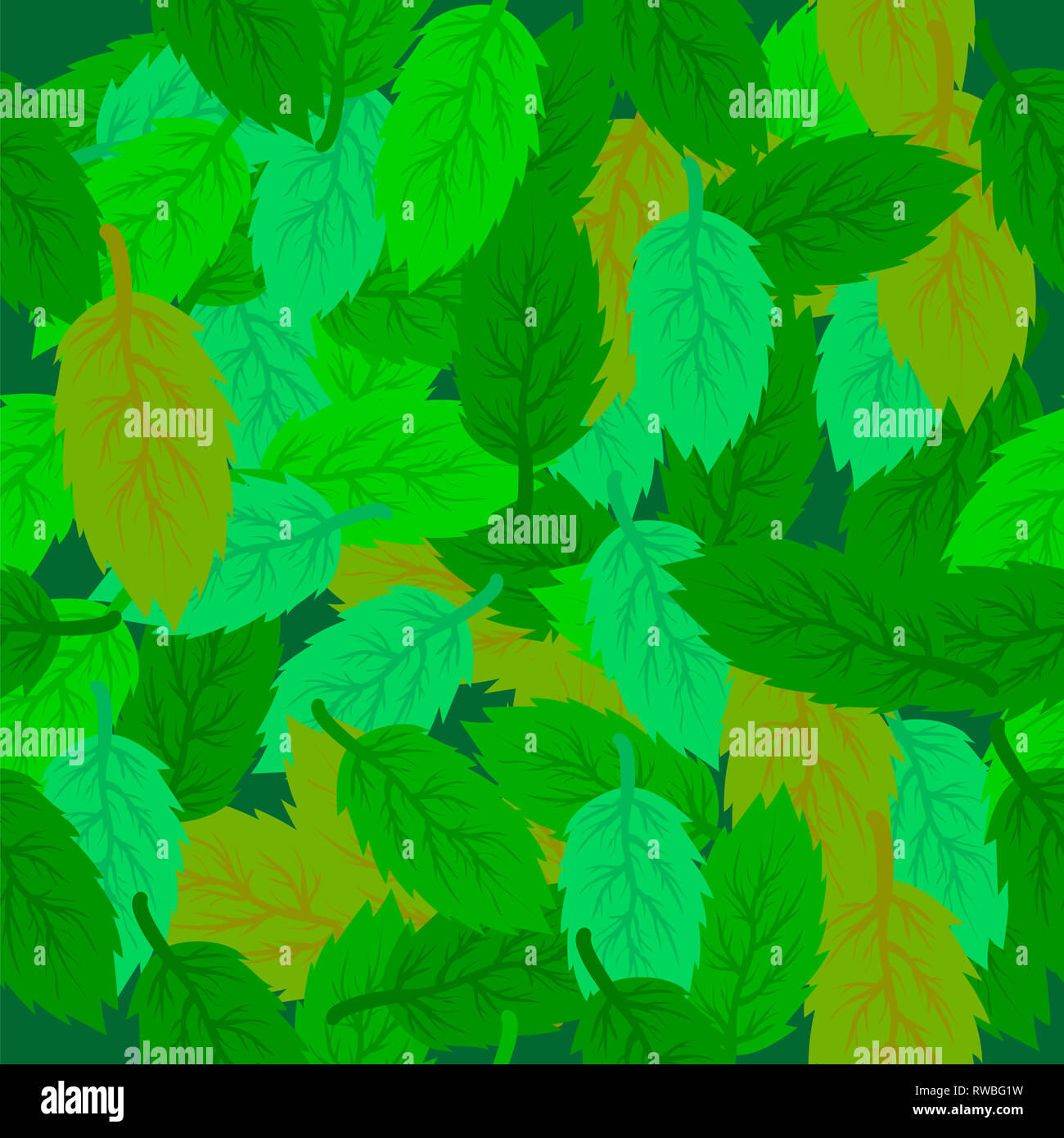 Spring Leaves Seamless Background. Green Fresh Leaves Stock Photo - Alamy