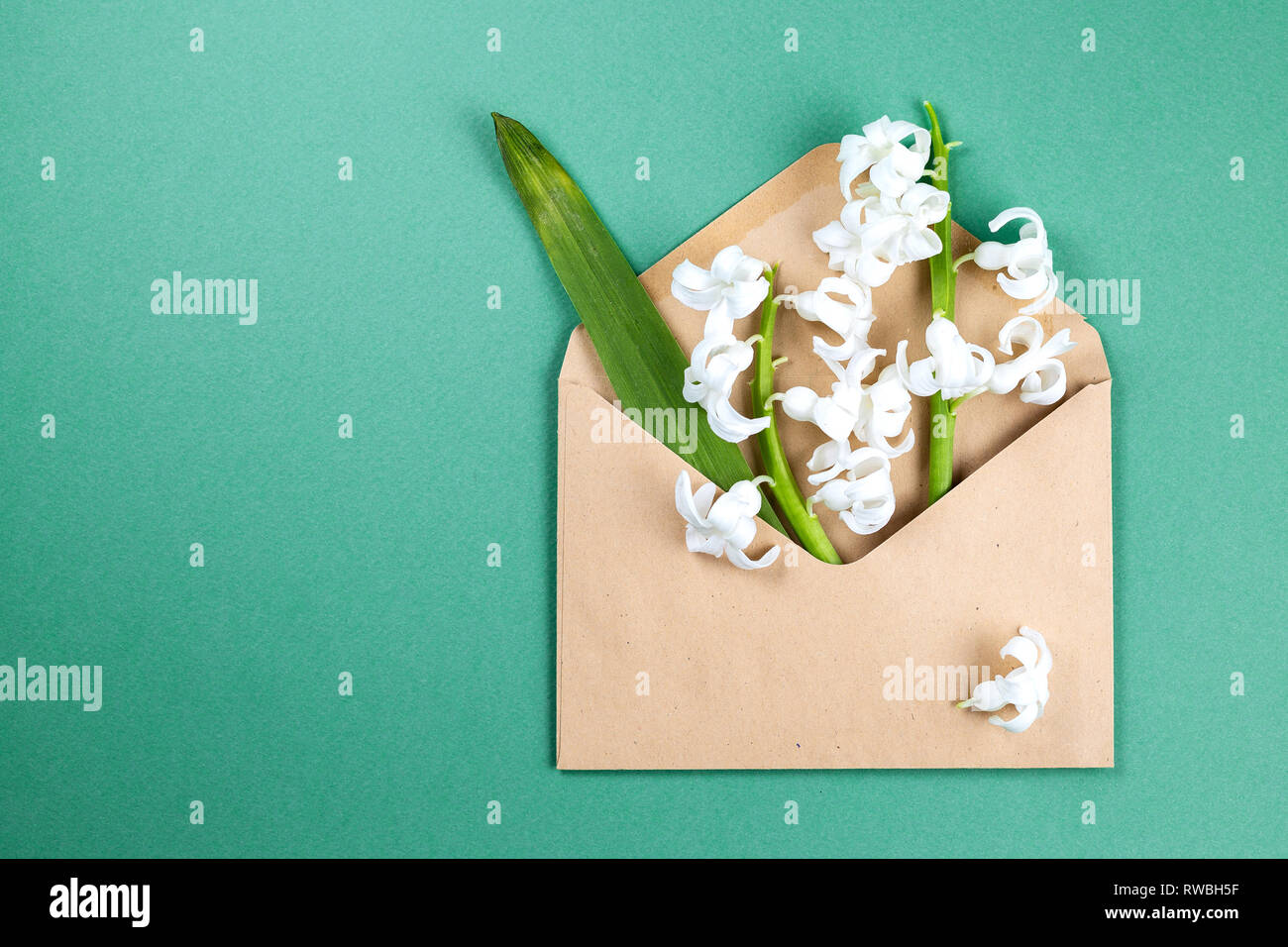 Spring flower in brown envelope over green background with copy space ...