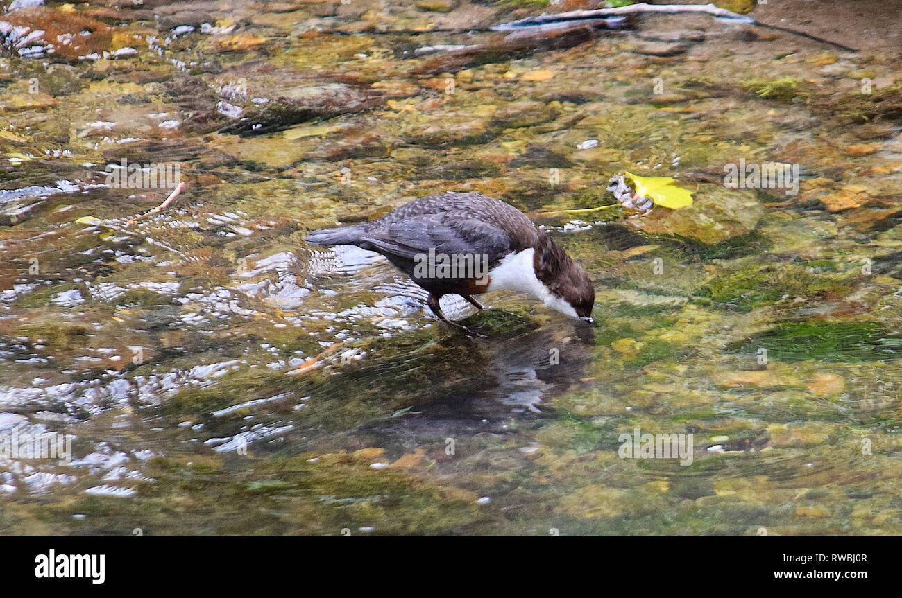 Pentewan stone hi-res stock photography and images - Alamy