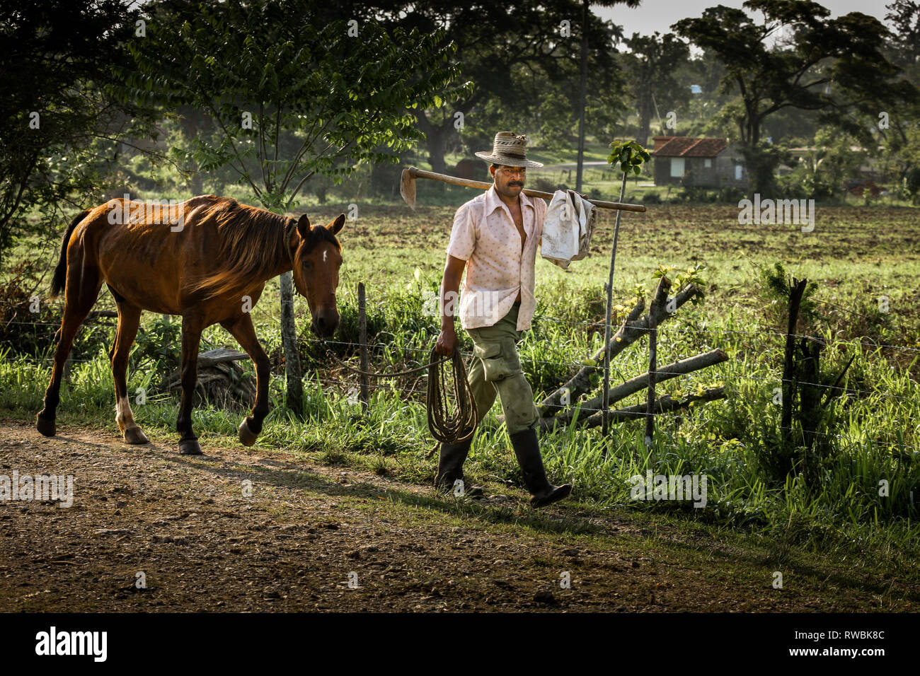 Hoe plough hi-res stock photography and images - Alamy