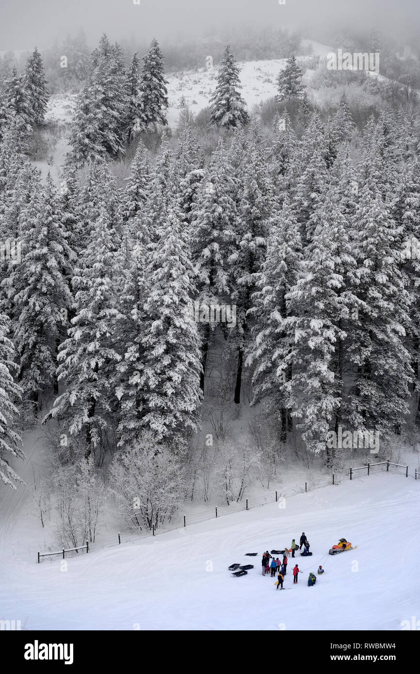 Group sledding in wilderness hi-res stock photography and images - Alamy