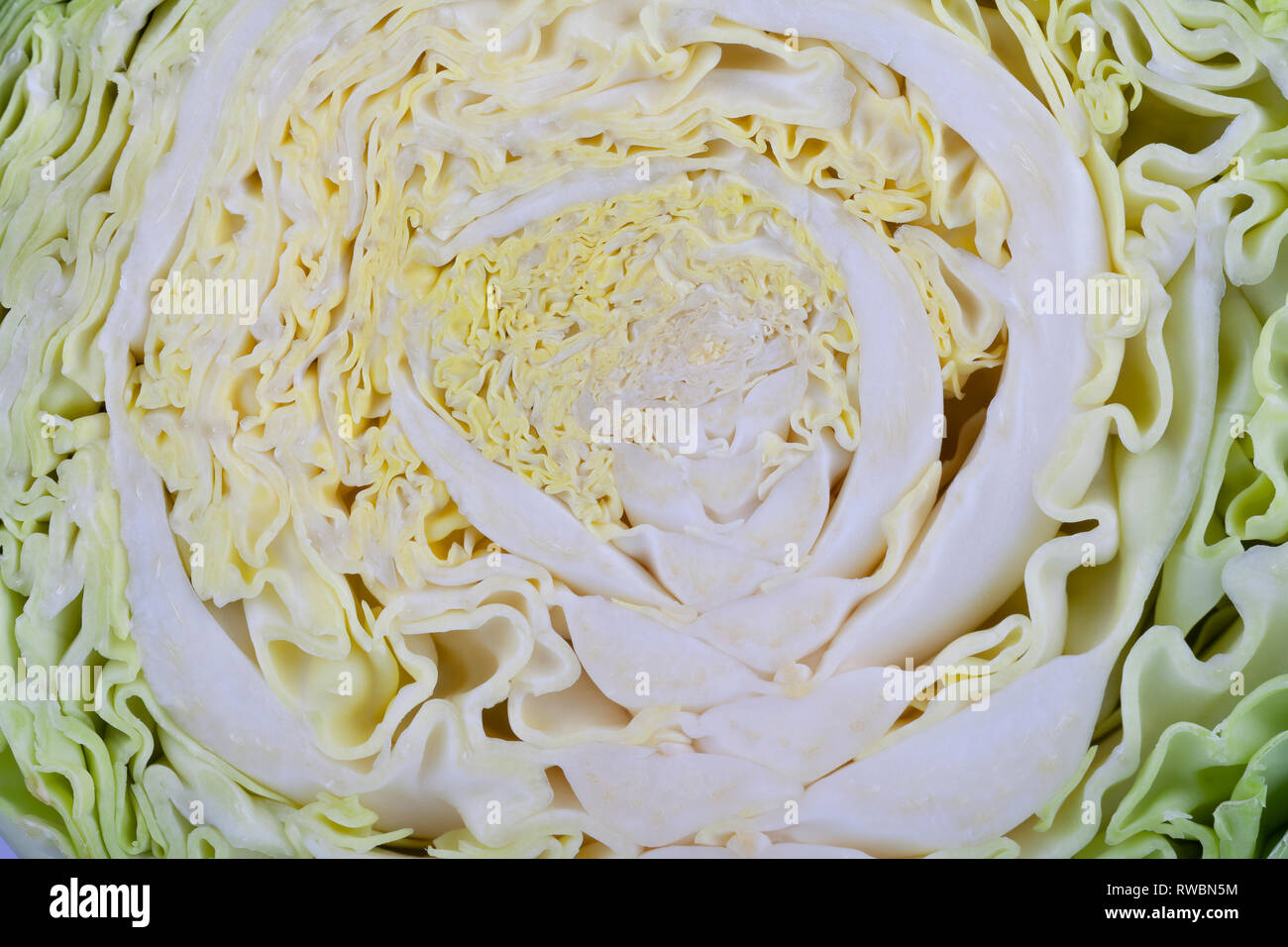Cabbage interior hi-res stock photography and images - Alamy
