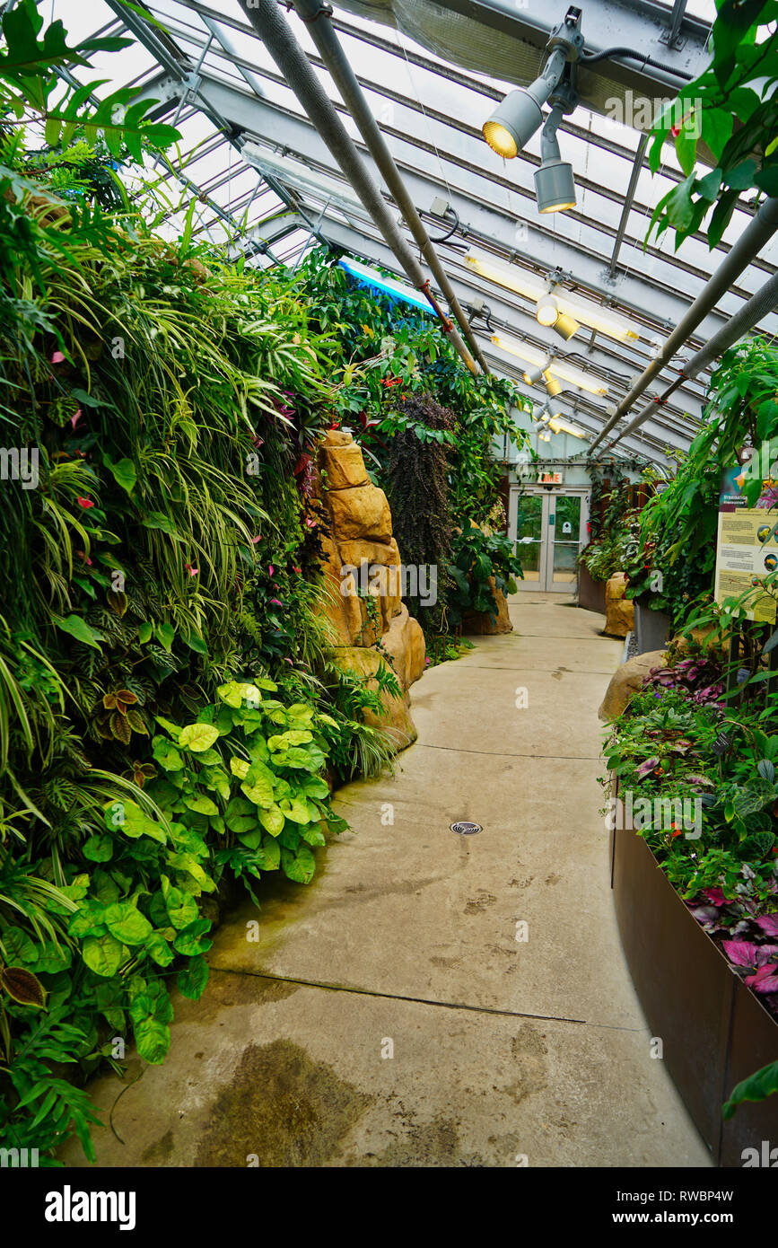 Plant exhibitions hi-res stock photography and images - Alamy