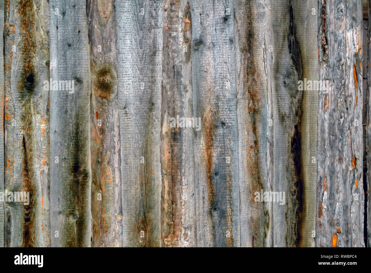 wooden vertical planks texture close-up Stock Photo - Alamy
