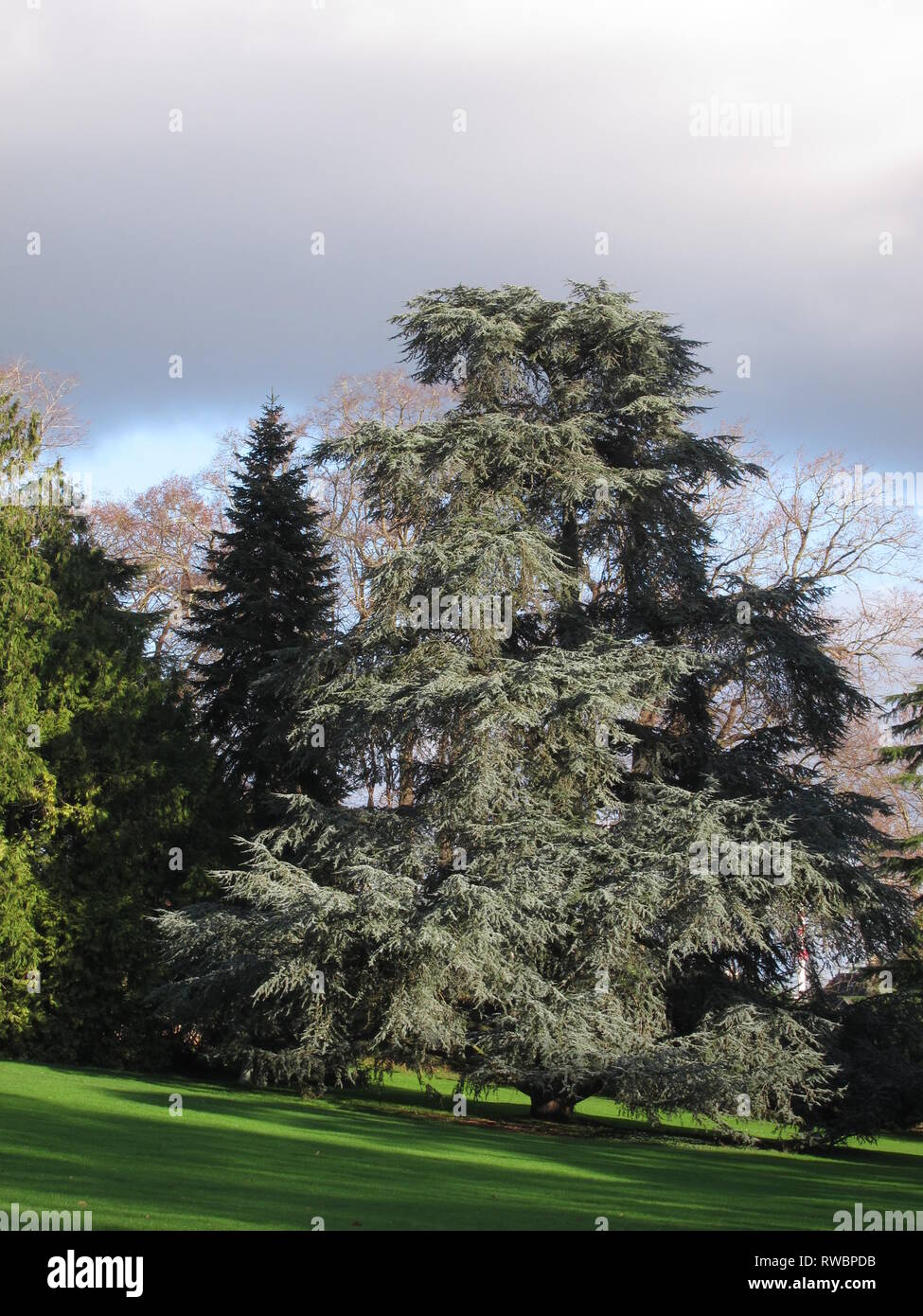Thabor park in Rennes Stock Photo - Alamy