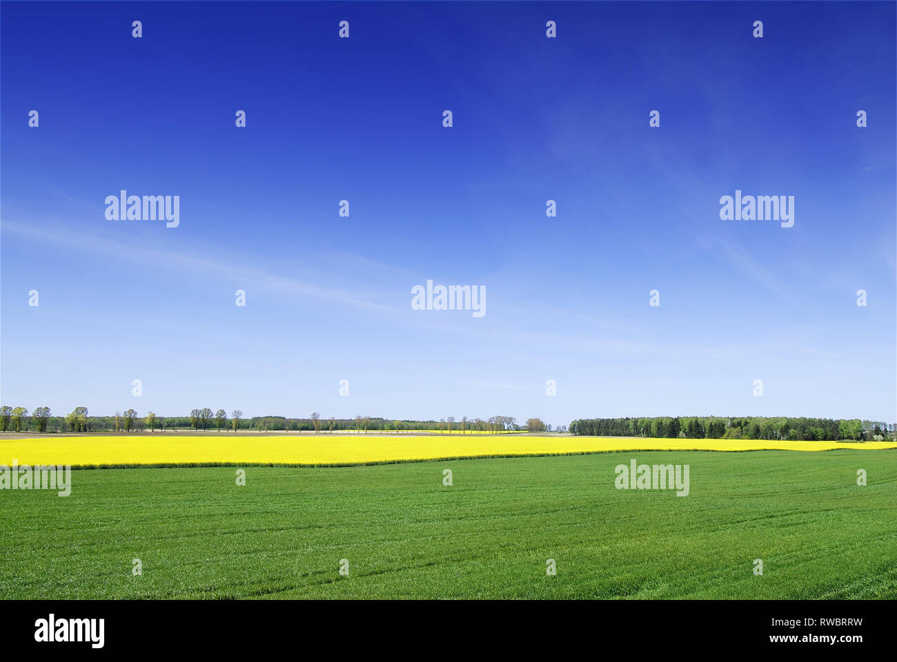Fields spring blue sky hi-res stock photography and images - Alamy