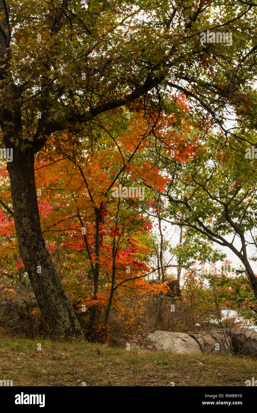 Chute pond hi-res stock photography and images - Alamy