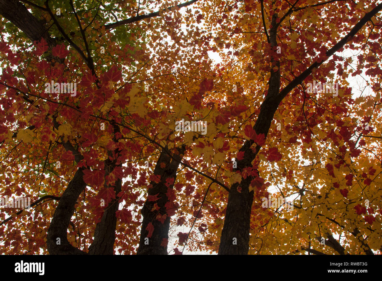 Chute pond hi-res stock photography and images - Alamy