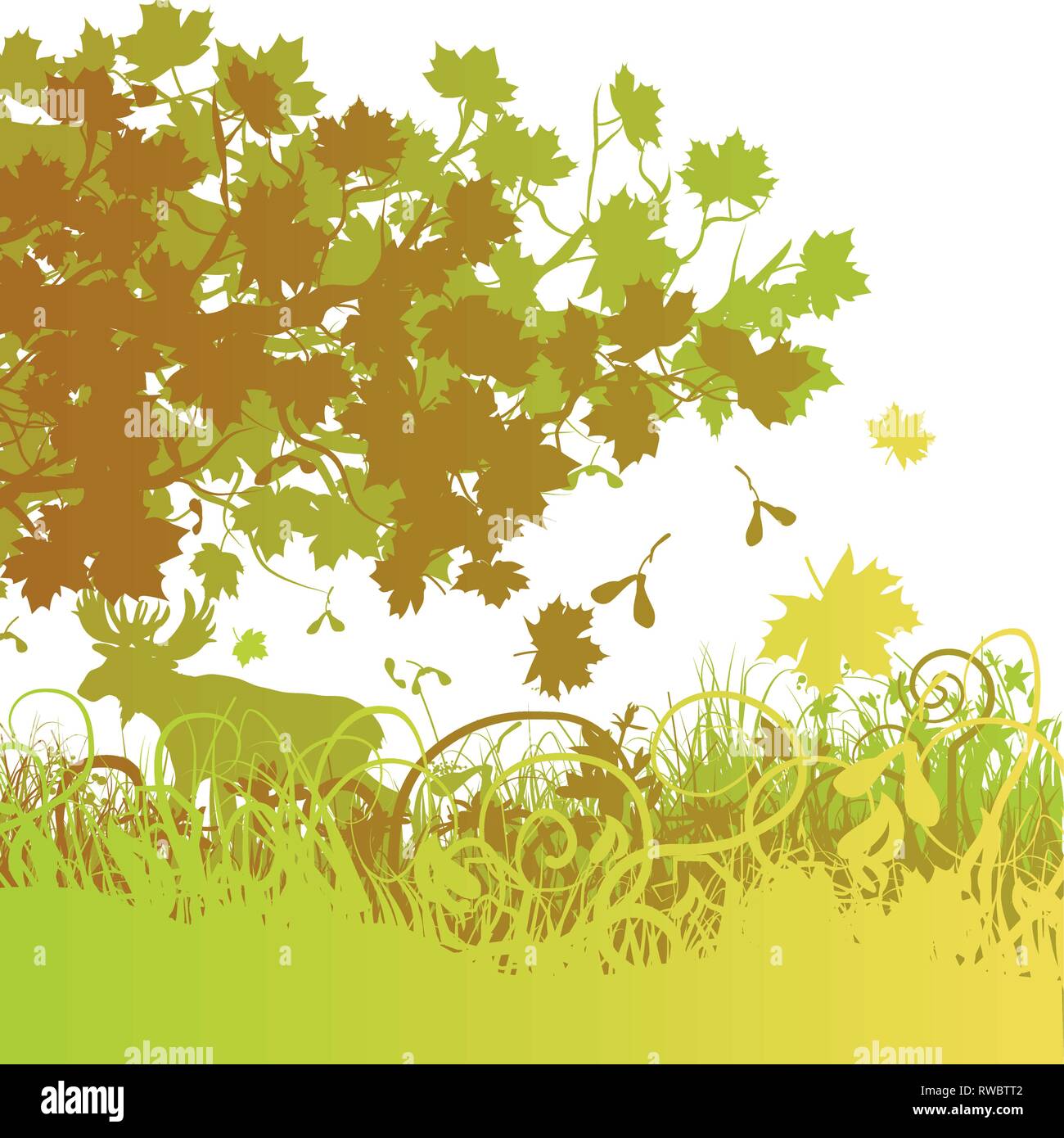 Autumn forest leaves seeds Stock Vector Images - Alamy