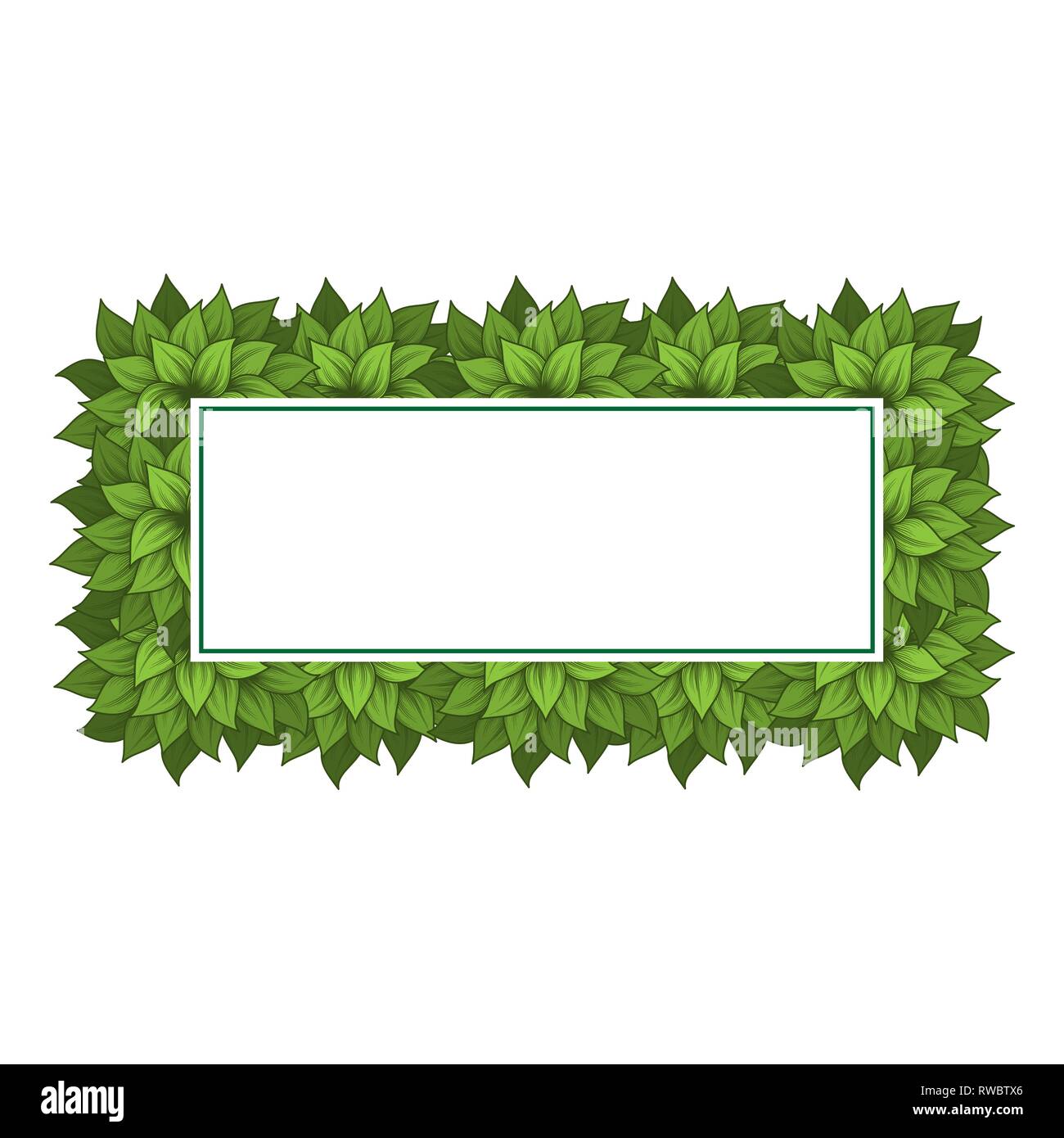 Rectangular Frame Designs