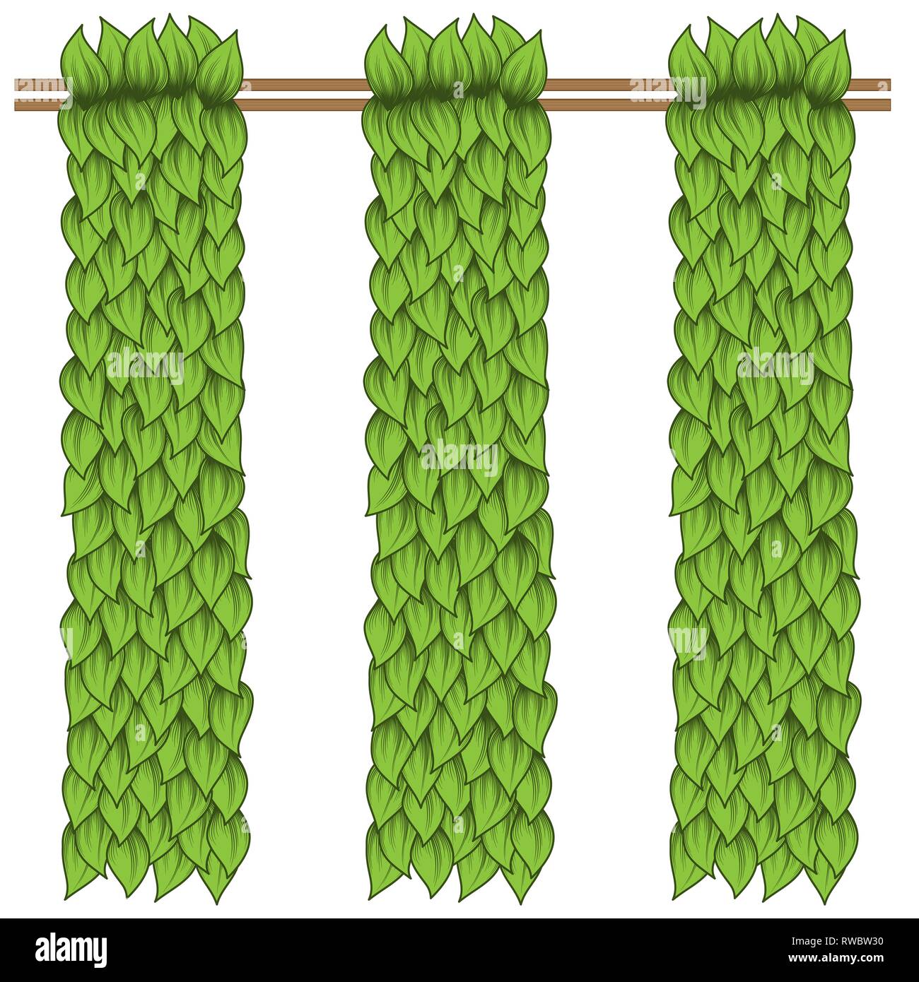 Three vertical leaves texture Stock Vector Images - Alamy