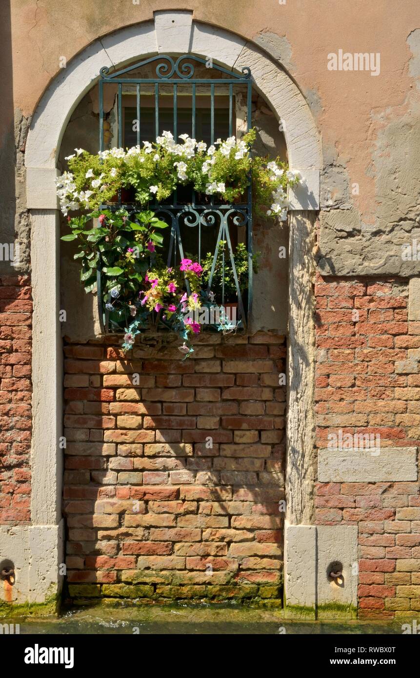 Flowers on green iron grating at window over canal in Venice, Italy ...