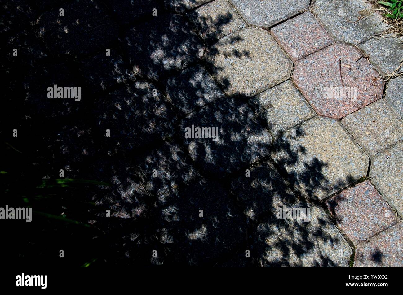Eclipse shown on the shadows Stock Photo - Alamy