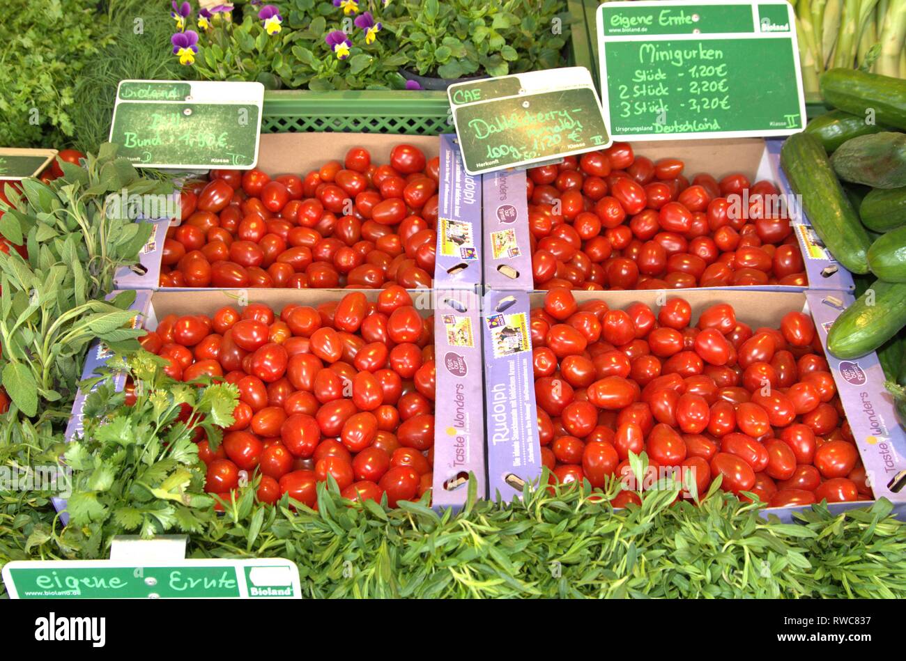 Schleswig, Deutschland. 13th May, 2018. Organic vegetable stand of a ...