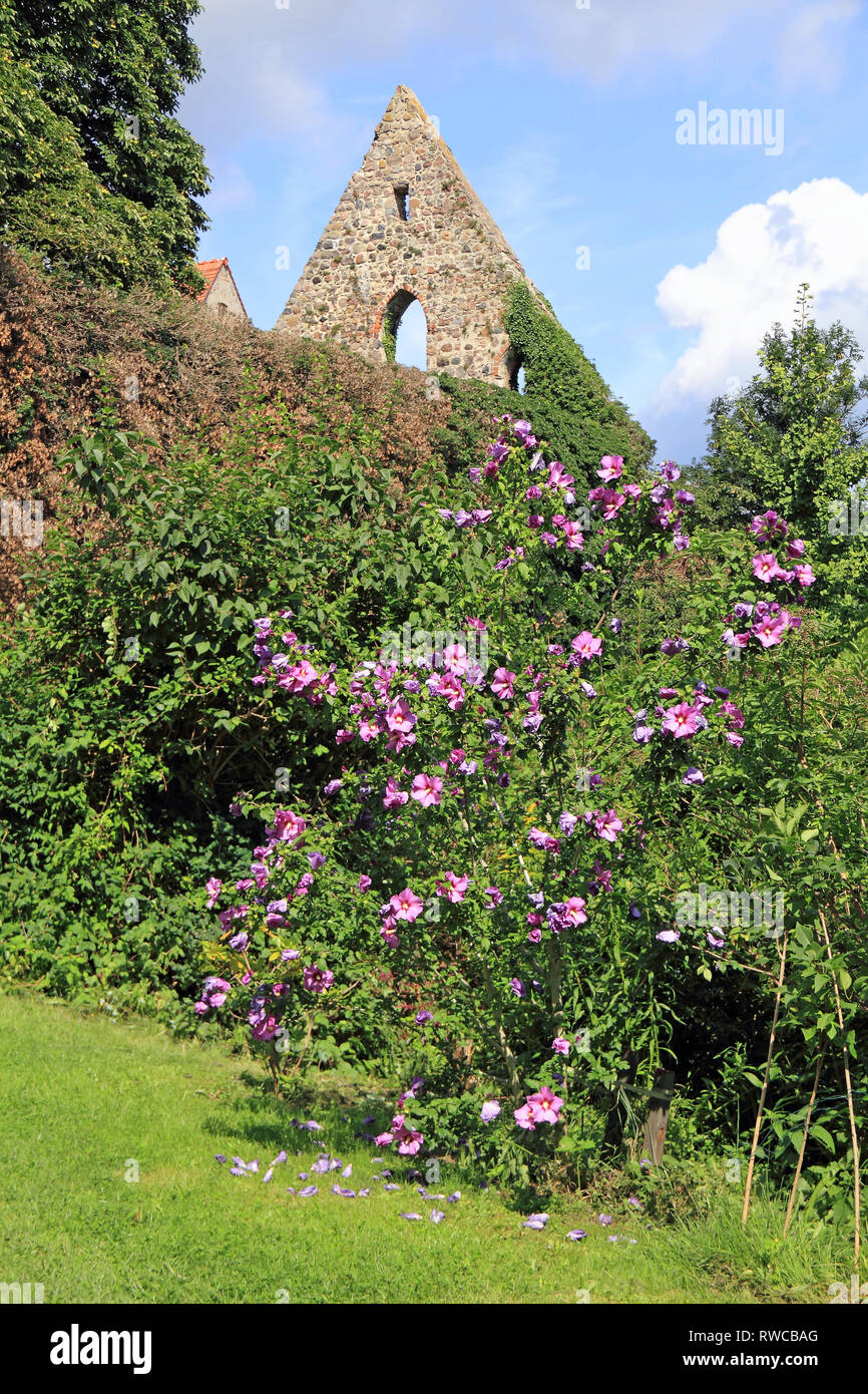 Gable end destroyed monastery church hi-res stock photography and ...
