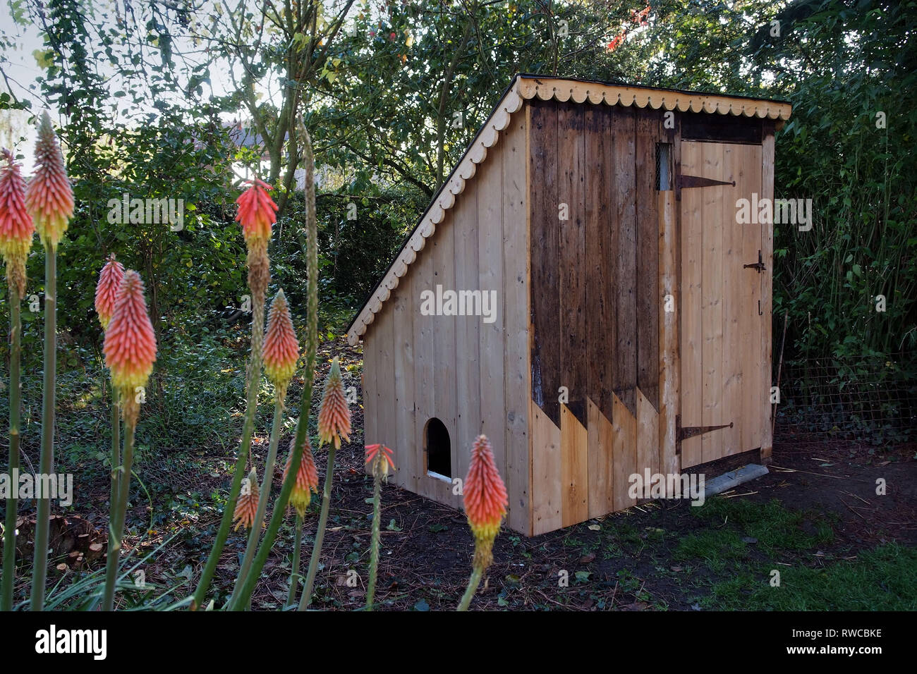 A luxury duckhouse Stock Photo - Alamy