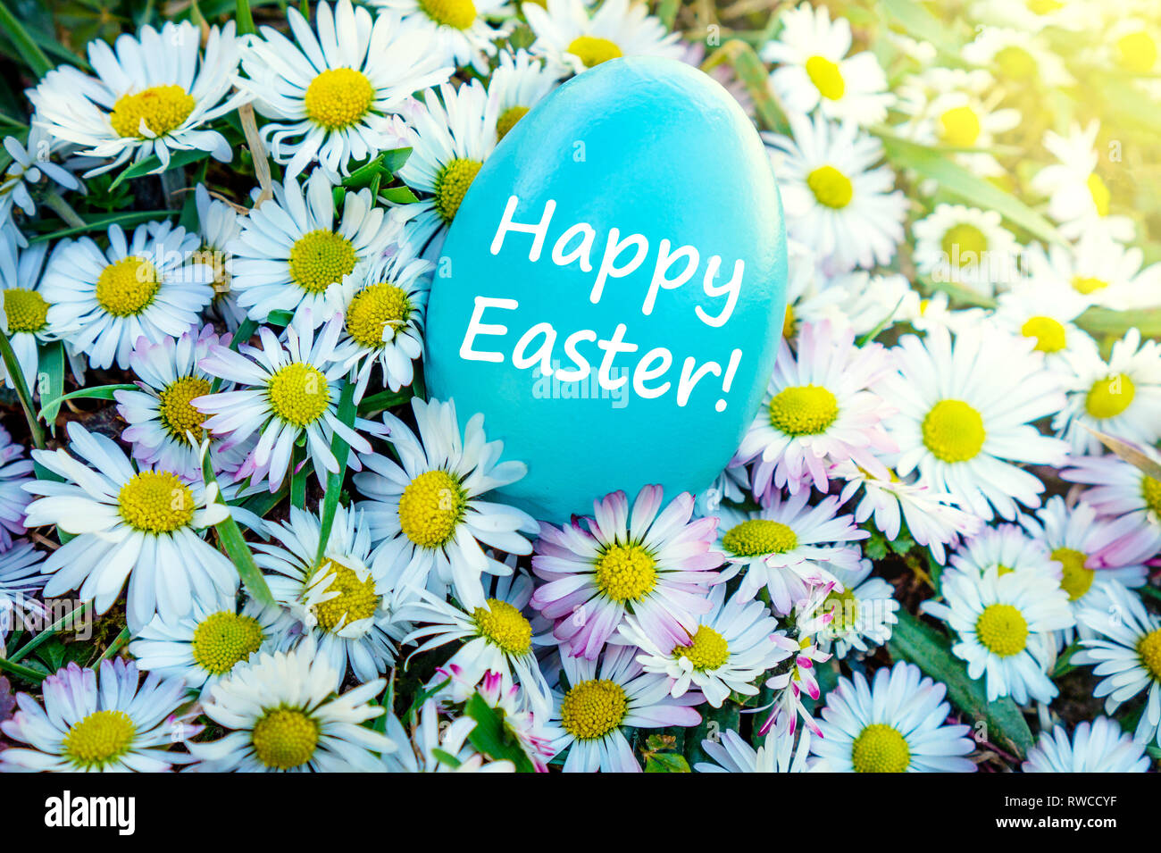 Daisy text hi-res stock photography and images - Alamy