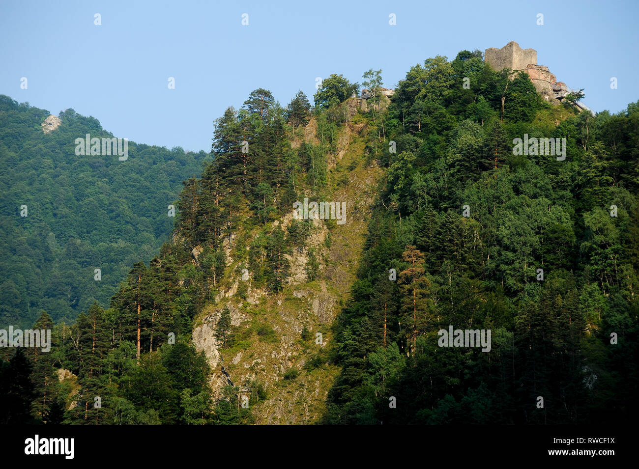 Gothic Cetatea Poenari (Poenari Castle) in Poenari, Romania. July 18th ...