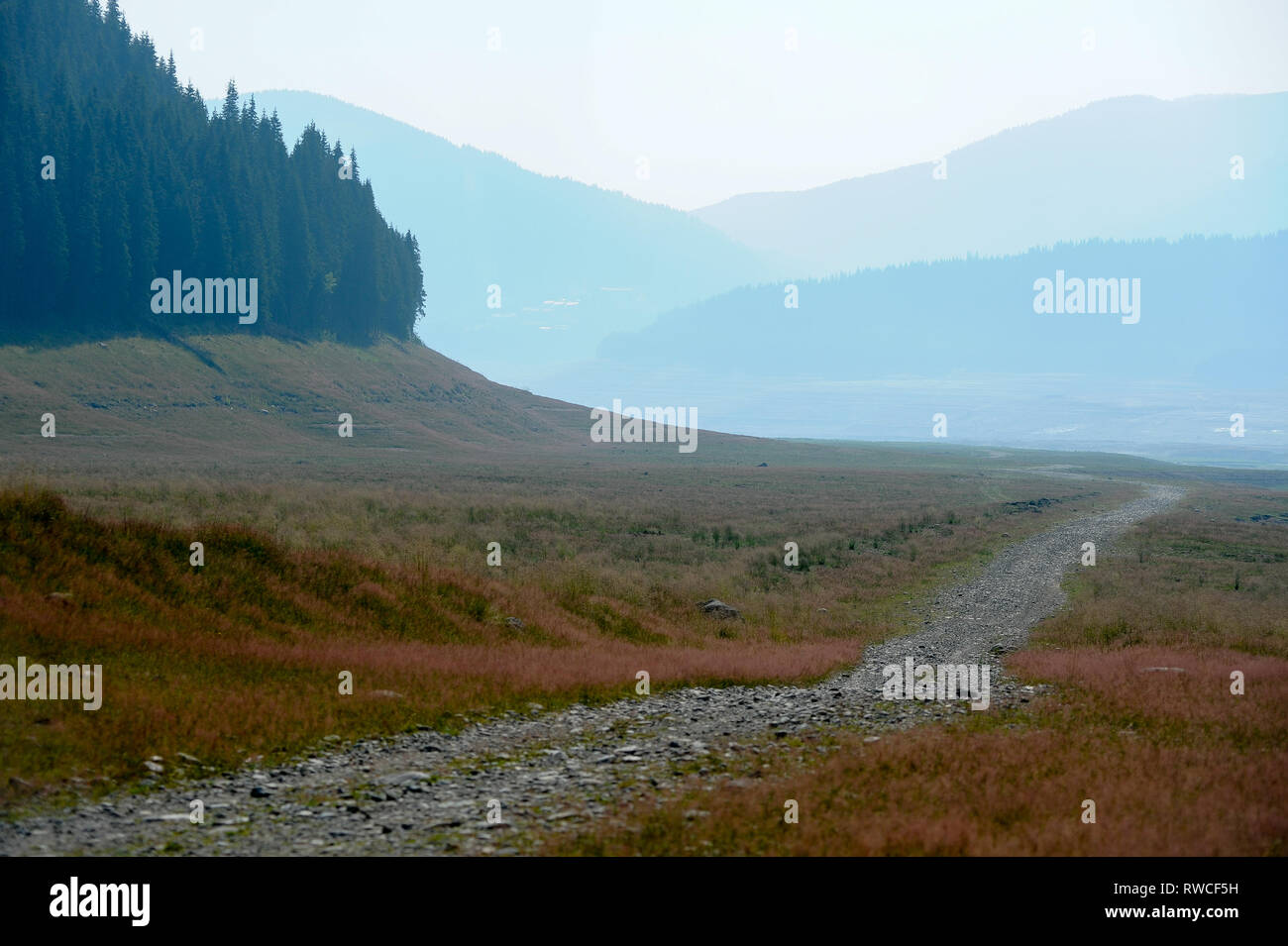 Lacul Vidra (Vidra Lake) on Lotru River by Transalpina road (DN67C) in ...
