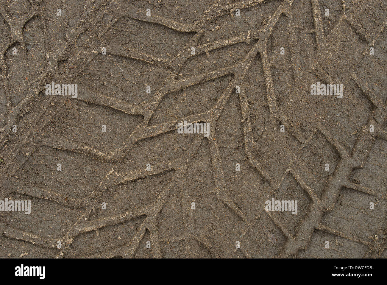 Print wheel tire shape hi-res stock photography and images - Alamy