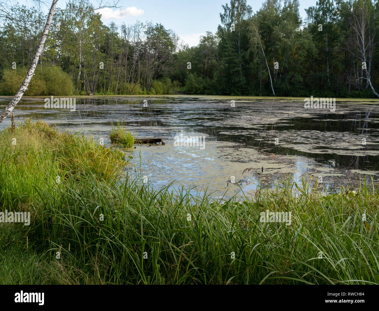 Beautiful sunset waterscape small hi-res stock photography and images ...