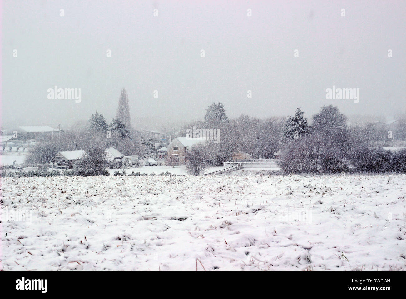 Rettendon essex hi-res stock photography and images - Alamy