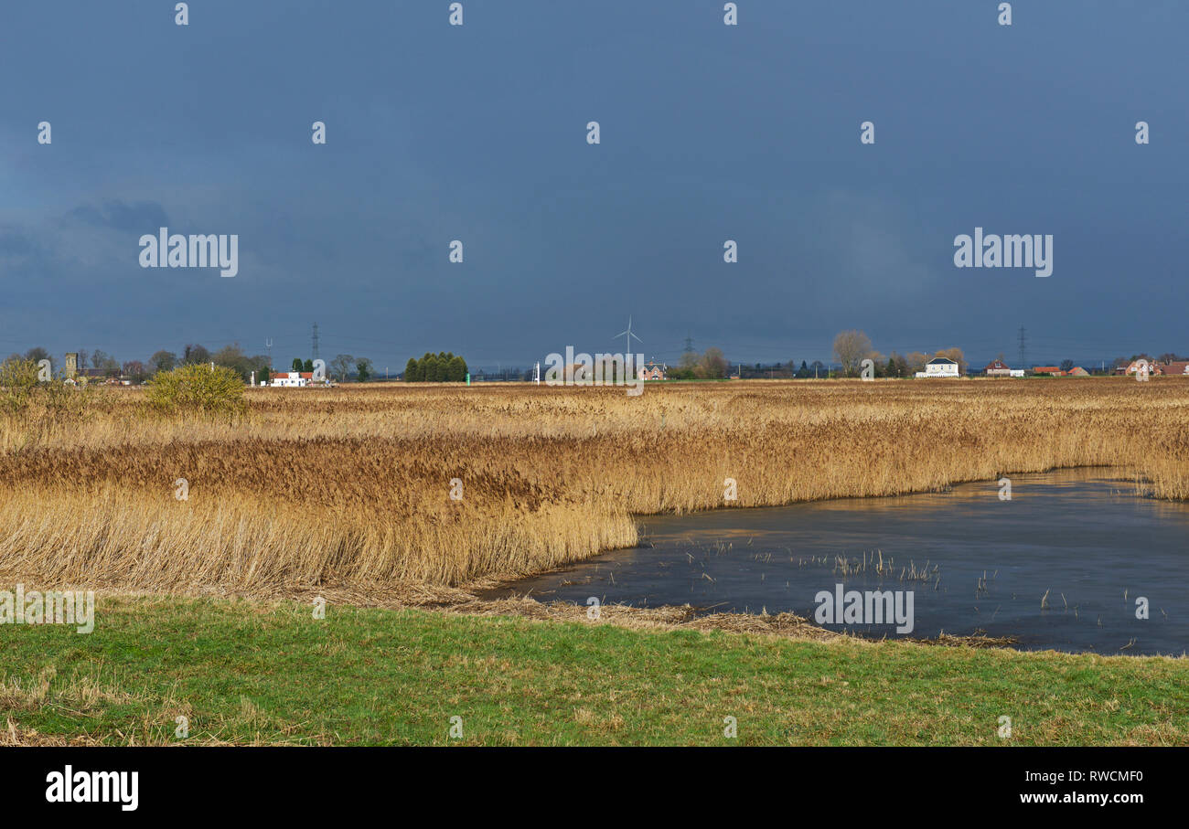 Blacktoft Sands, an RSPB nature reserve, East Riding of Yorkshire ...