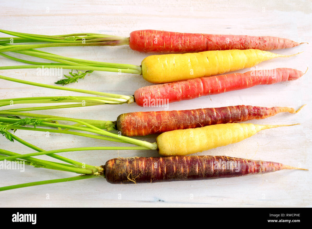 Fresh pulled rainbow carrots on rustic white background in horizontal ...