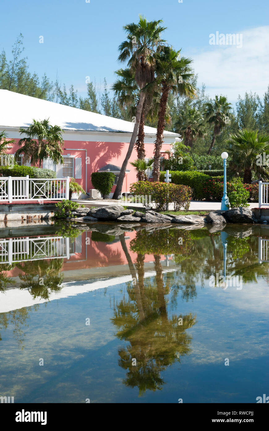 The reflection of a palm tree next to the characteristic pink color ...