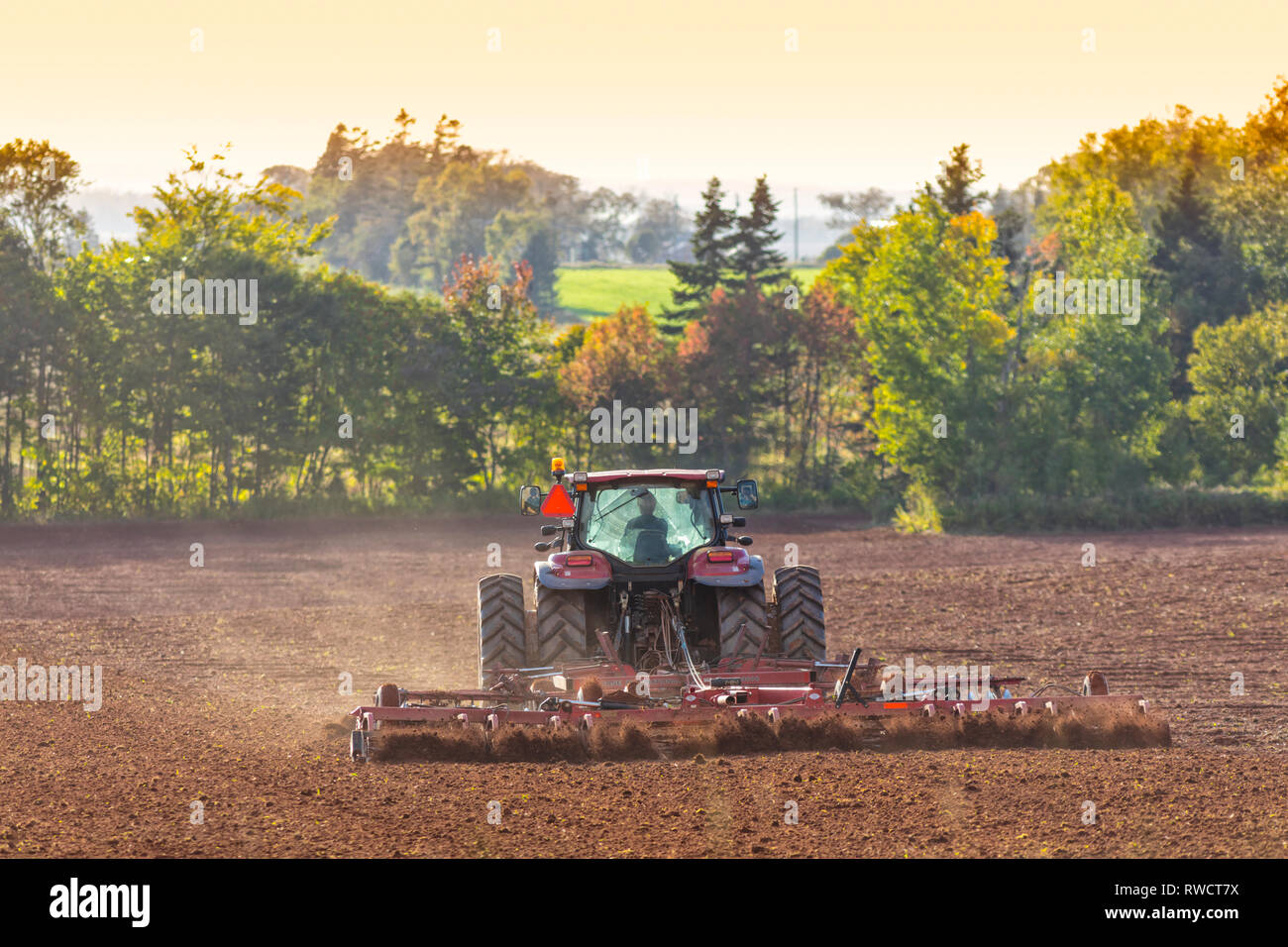 Planting for color hi-res stock photography and images - Alamy