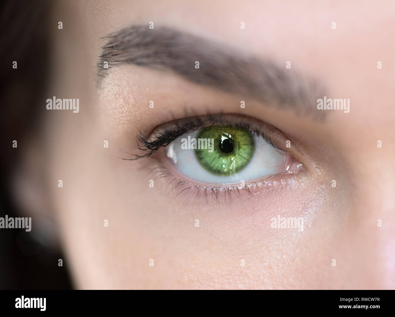 Green eyebrows hi-res stock photography and images - Alamy