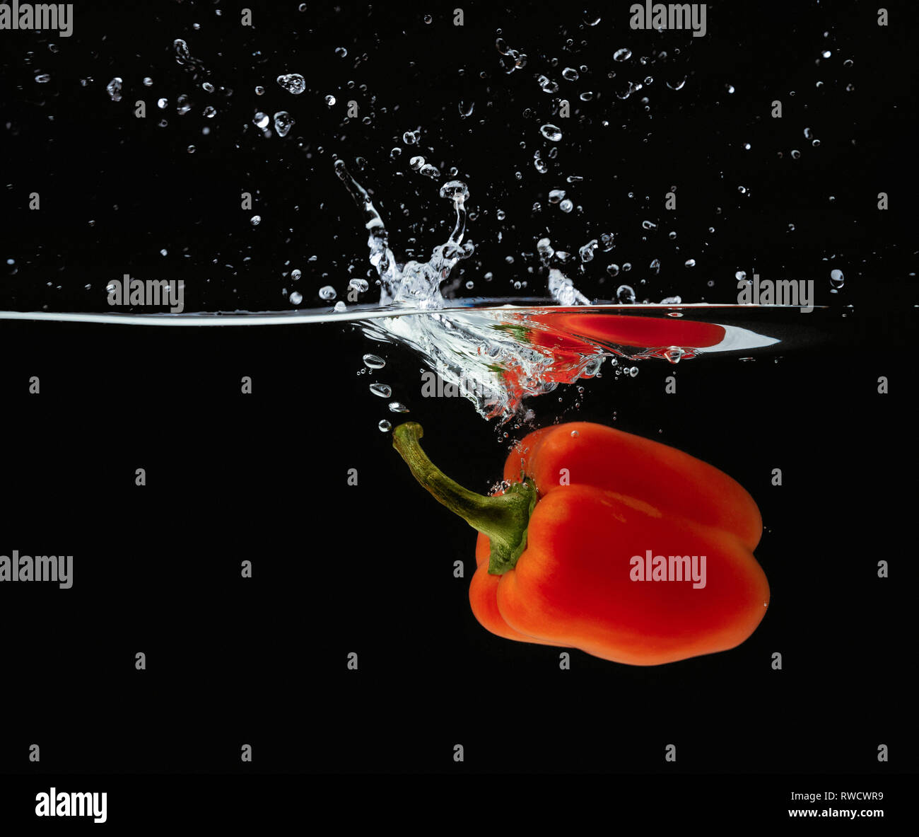 Colored orange paprika in water splashes on black background Stock ...