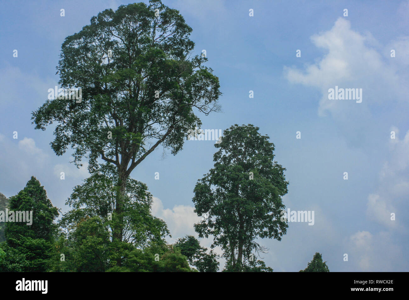 Gunung raya mountain hi-res stock photography and images - Alamy