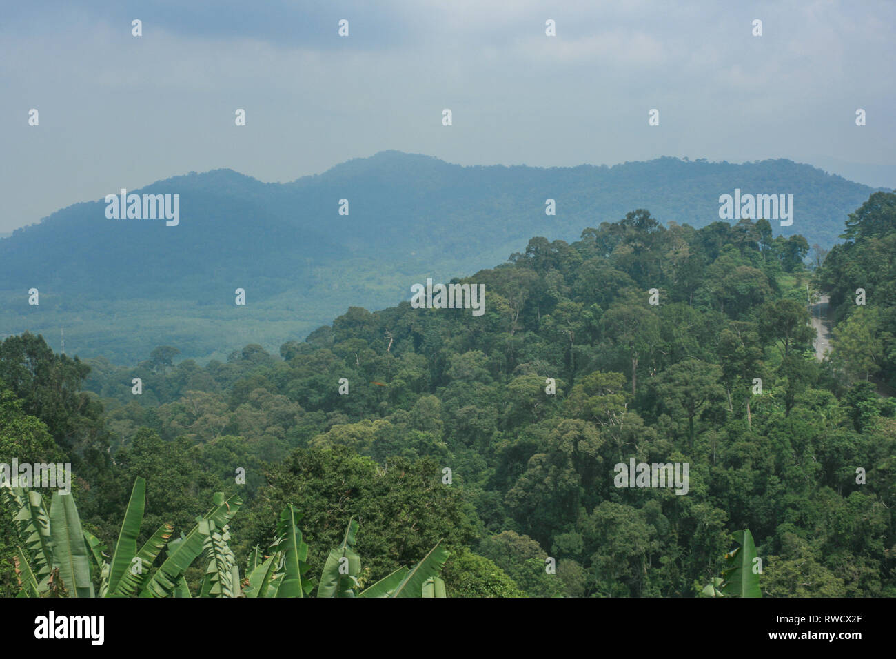 Gunung Raya, Langkawi, Malaysia Stock Photo - Alamy