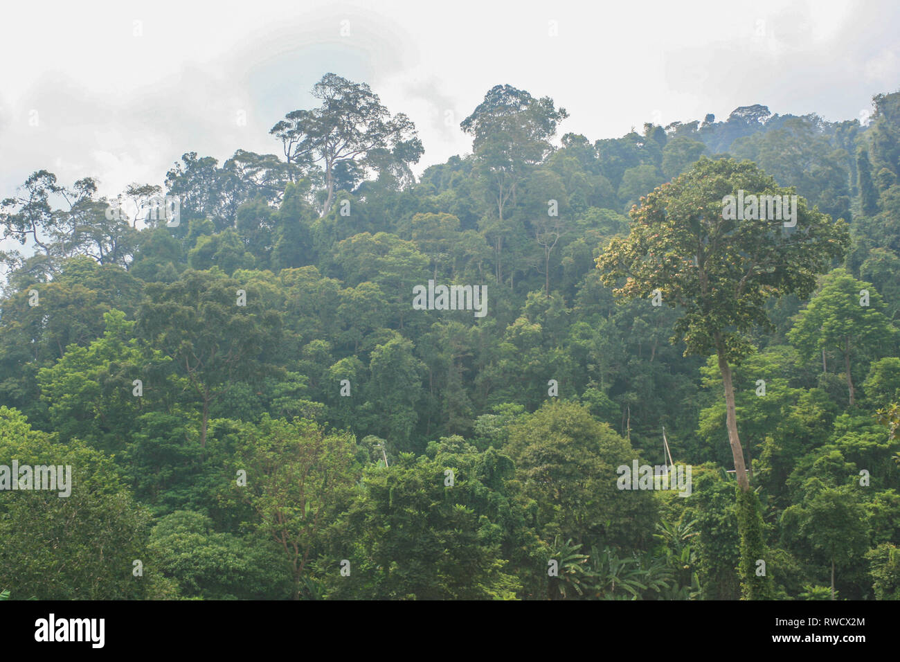 Gunung Raya, Langkawi, Malaysia Stock Photo - Alamy