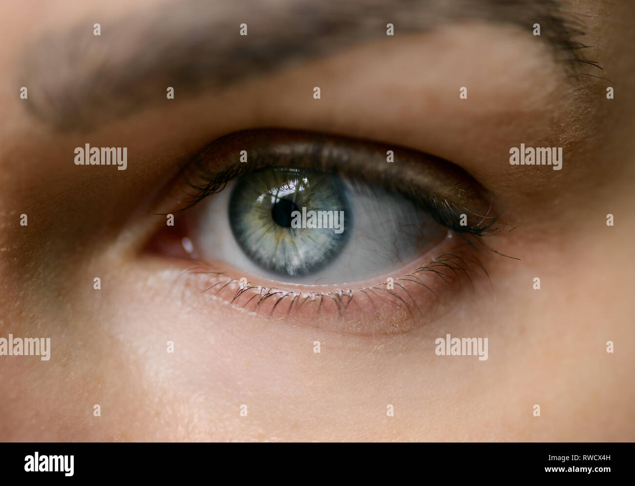Optical elements hi-res stock photography and images - Alamy