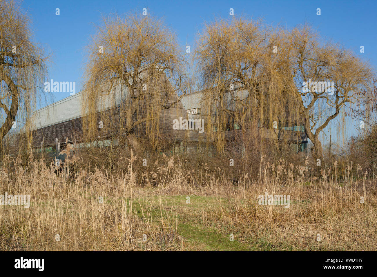 The oak clad River & Rowing Museum blends into the winter landscape at ...