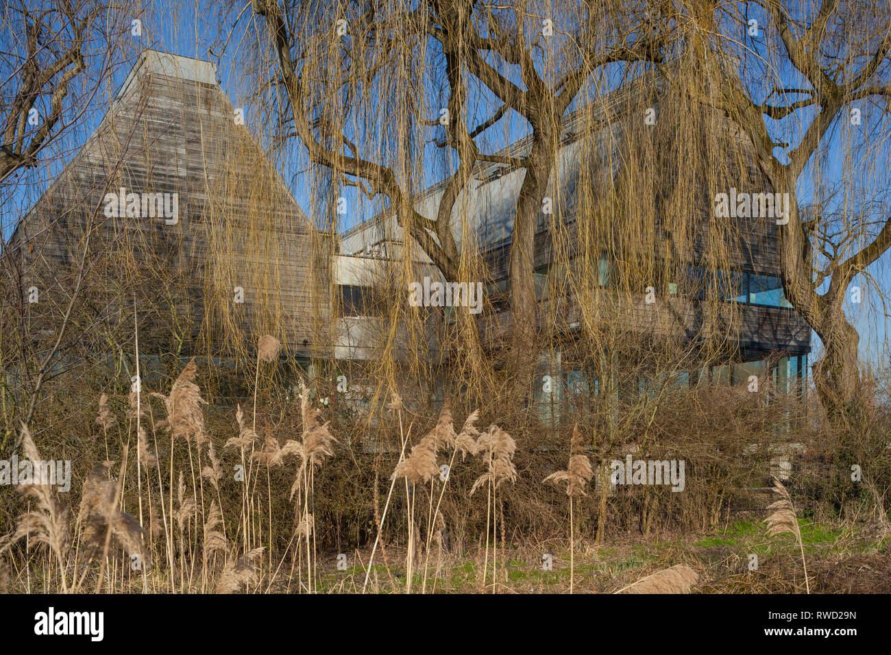 River and rowing museum hi-res stock photography and images - Alamy