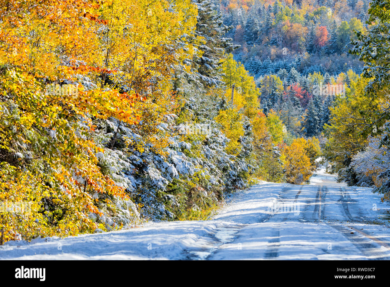 Fall foliage and country lane hi-res stock photography and images - Alamy