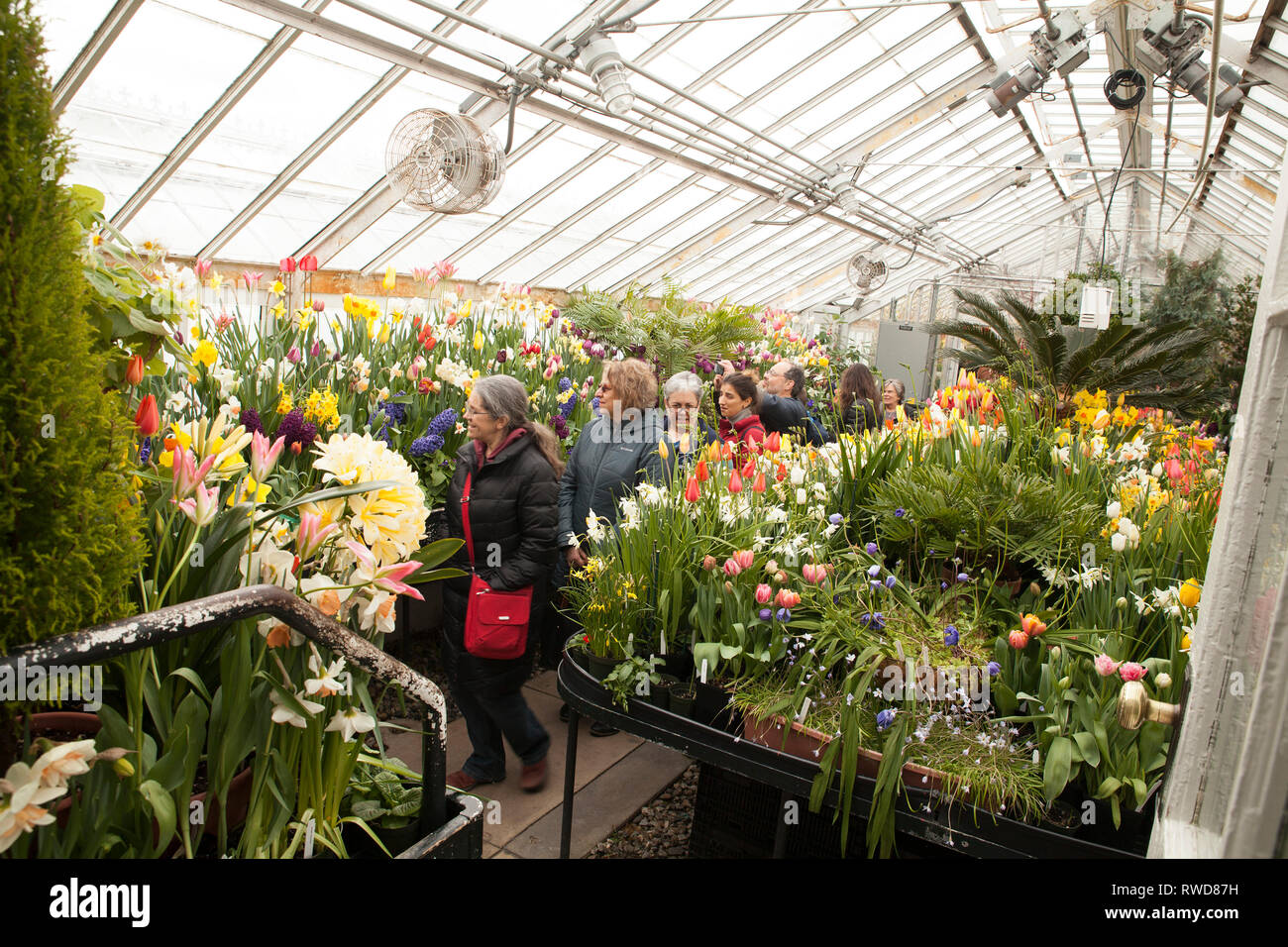 Spring annual exhibition hi-res stock photography and images - Alamy